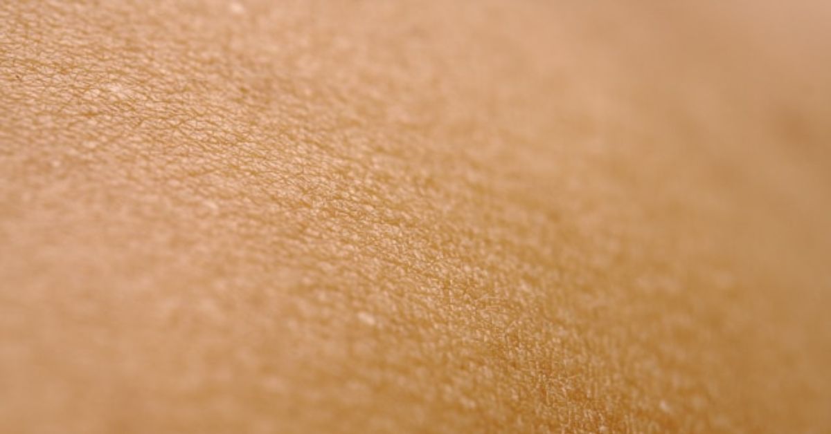 Microneedle Patches: Benefits, Uses, and Top Brands